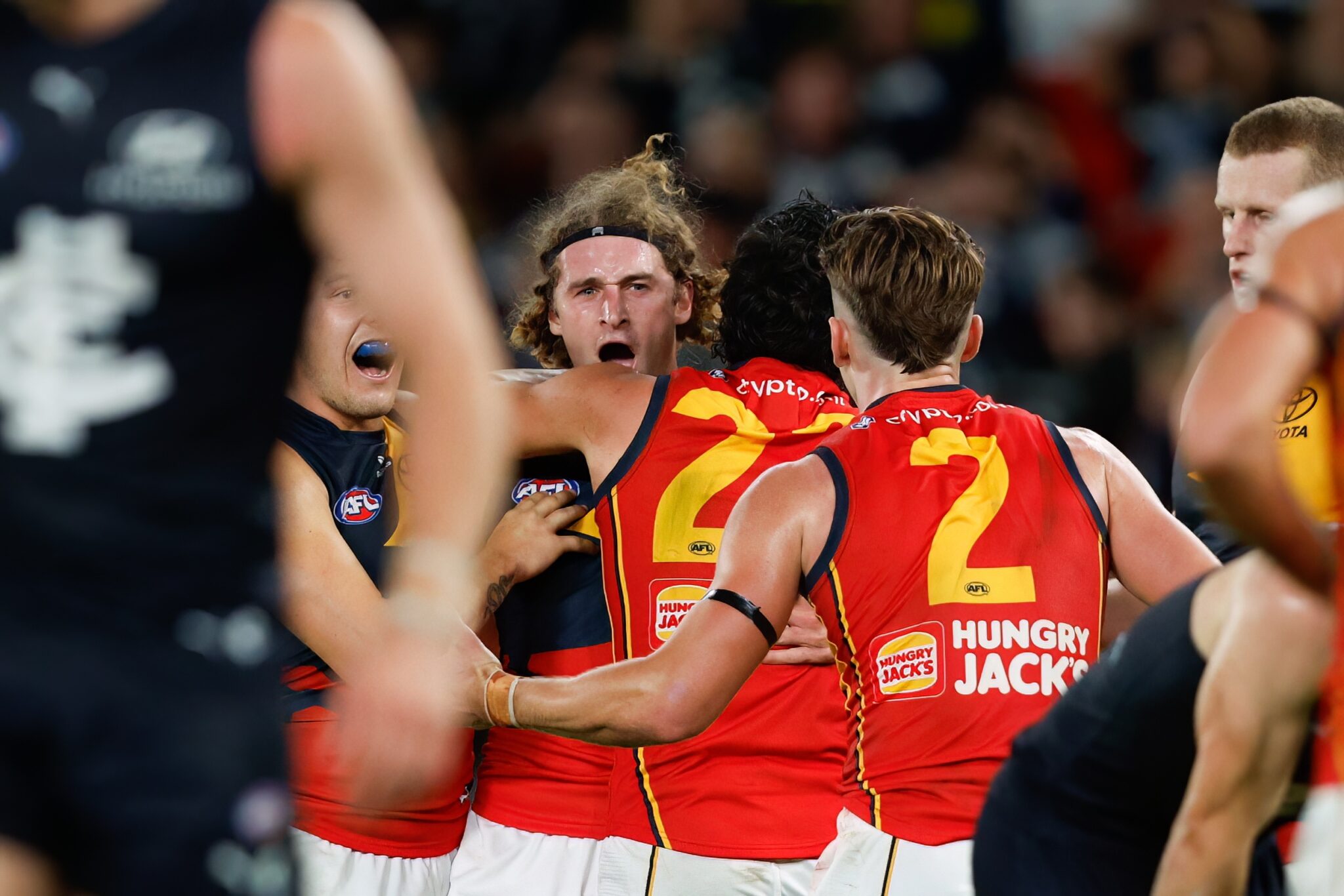 2024 AFL | Adelaide Football Club