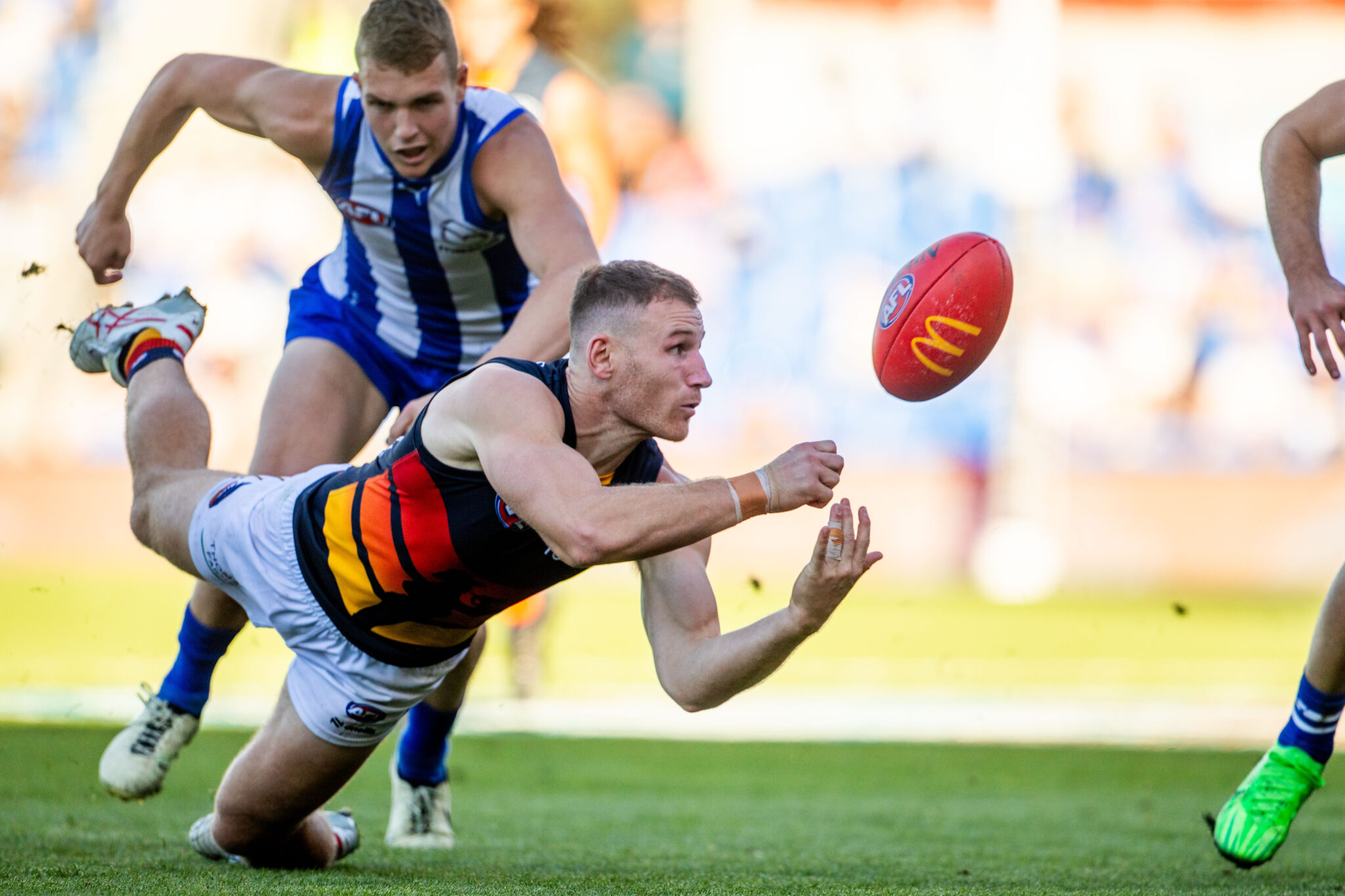 2024 AFL | Adelaide Football Club