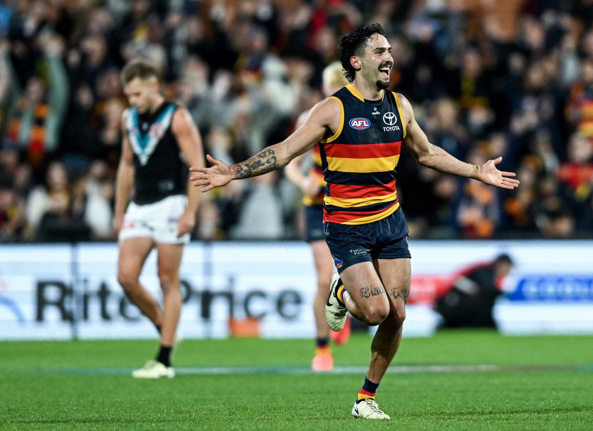 2024 AFL | Adelaide Football Club