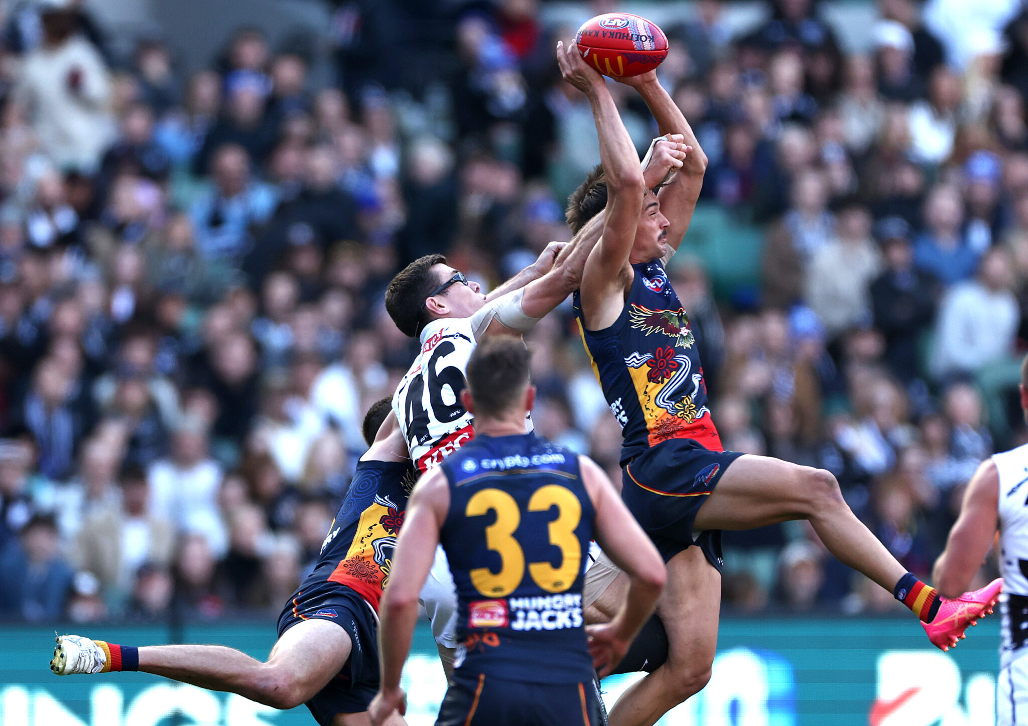 2024 AFL | Adelaide Football Club