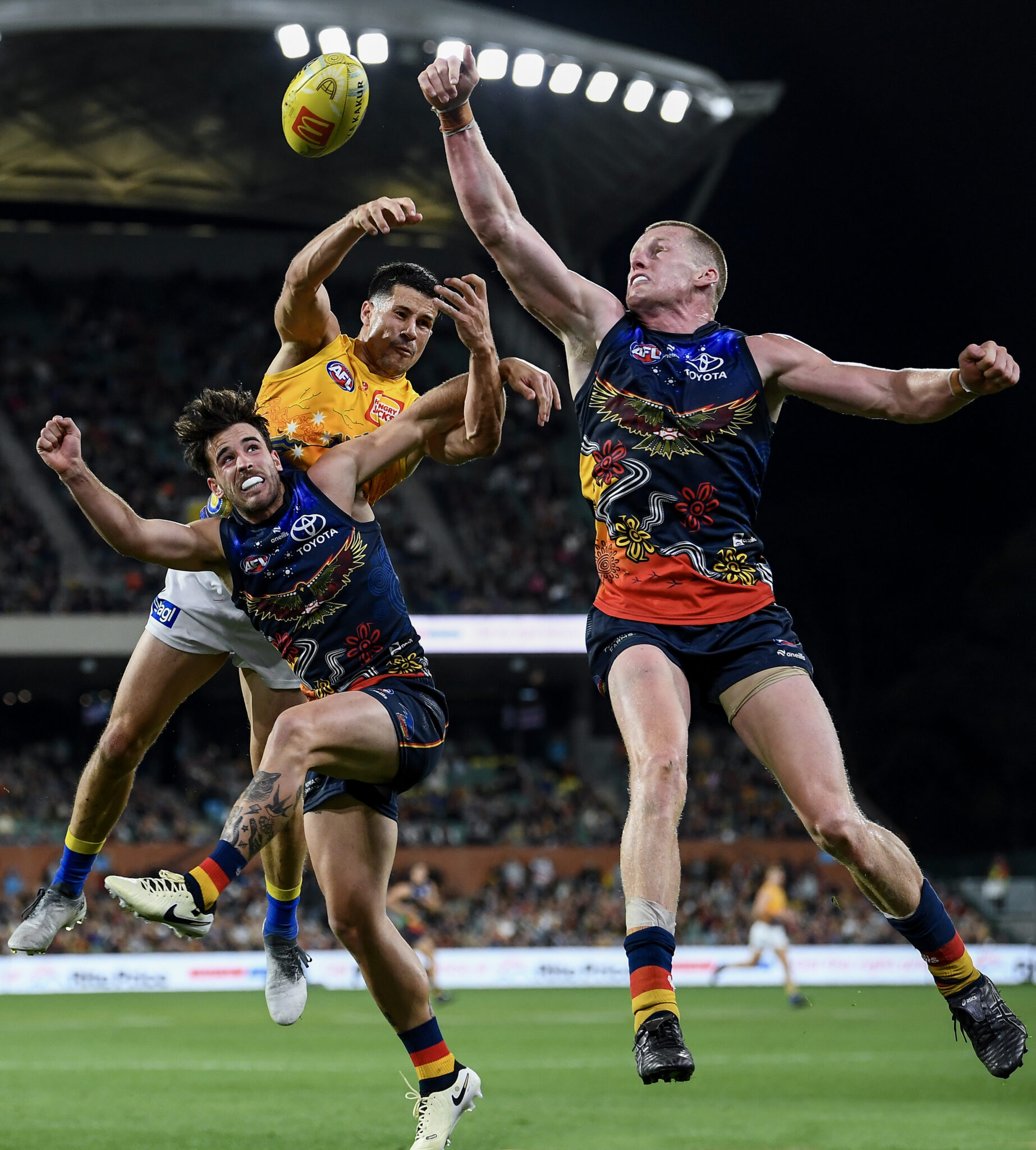 2024 AFL | Adelaide Football Club