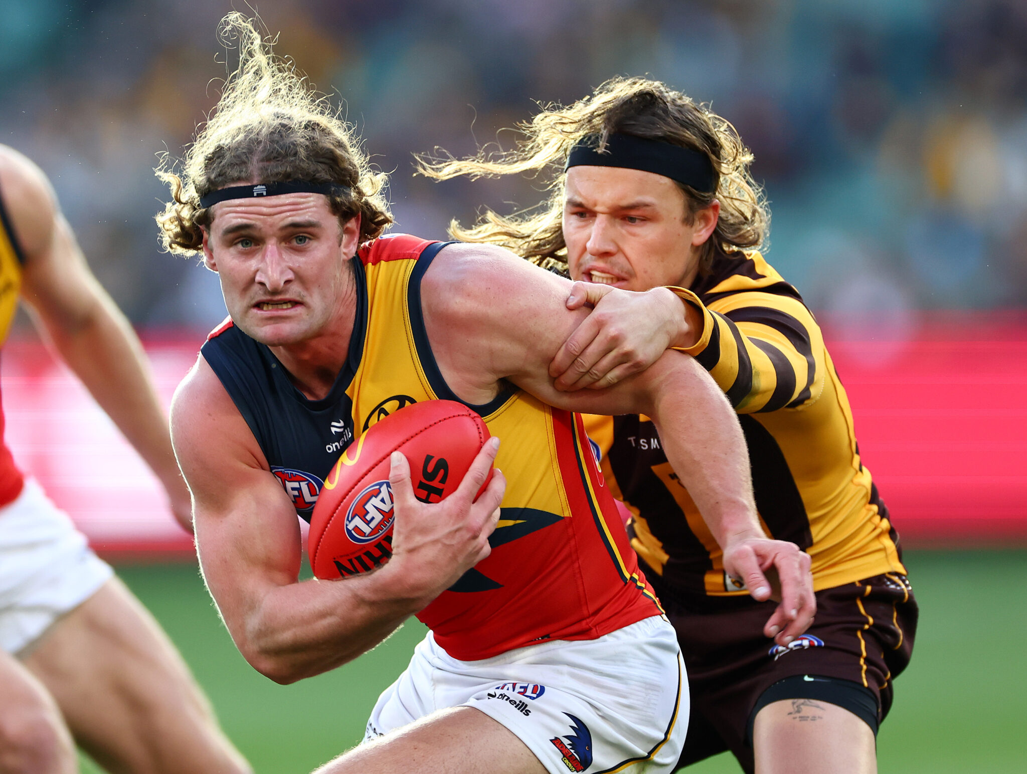 2024 AFL | Adelaide Football Club