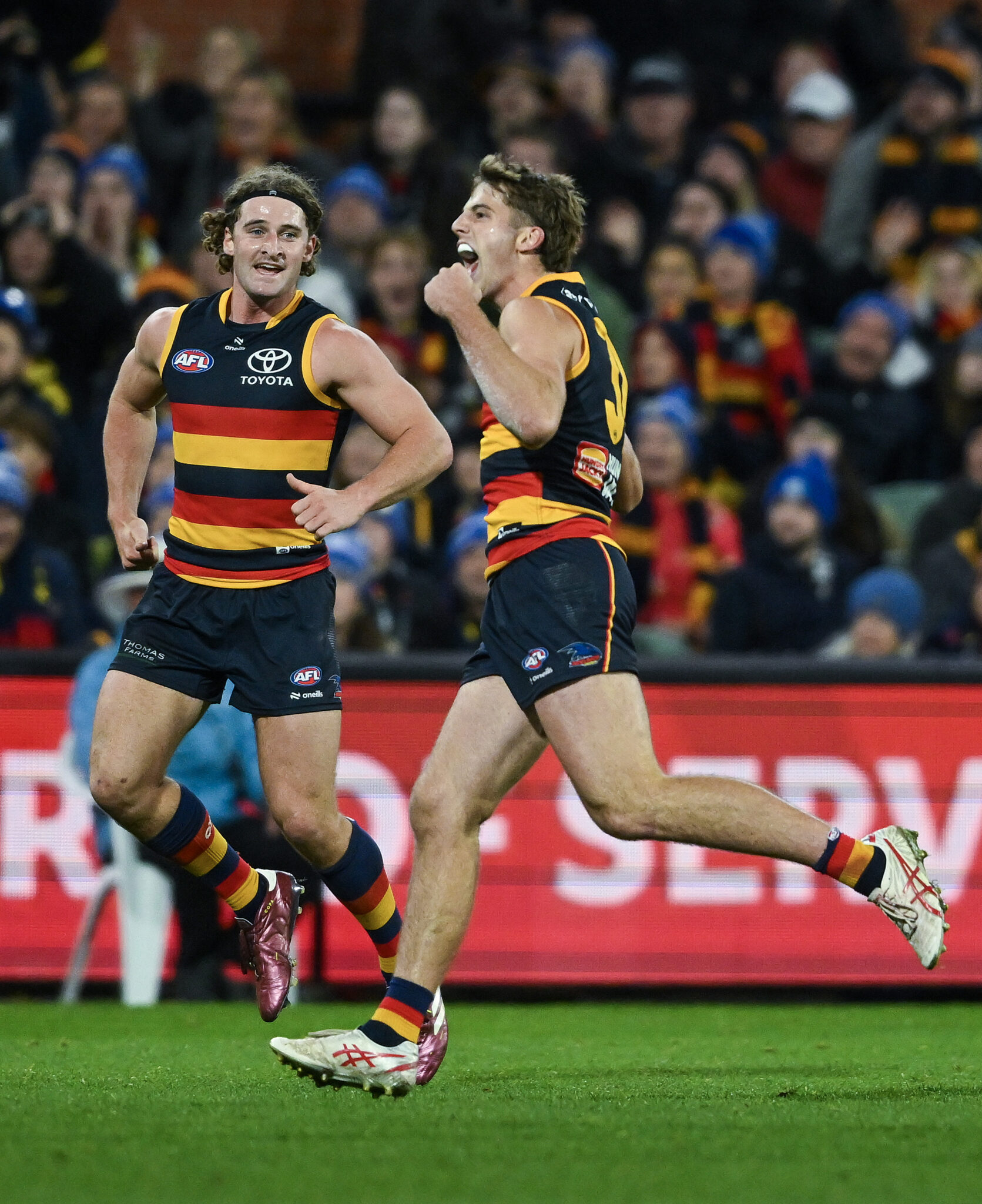 2024 AFL | Adelaide Football Club