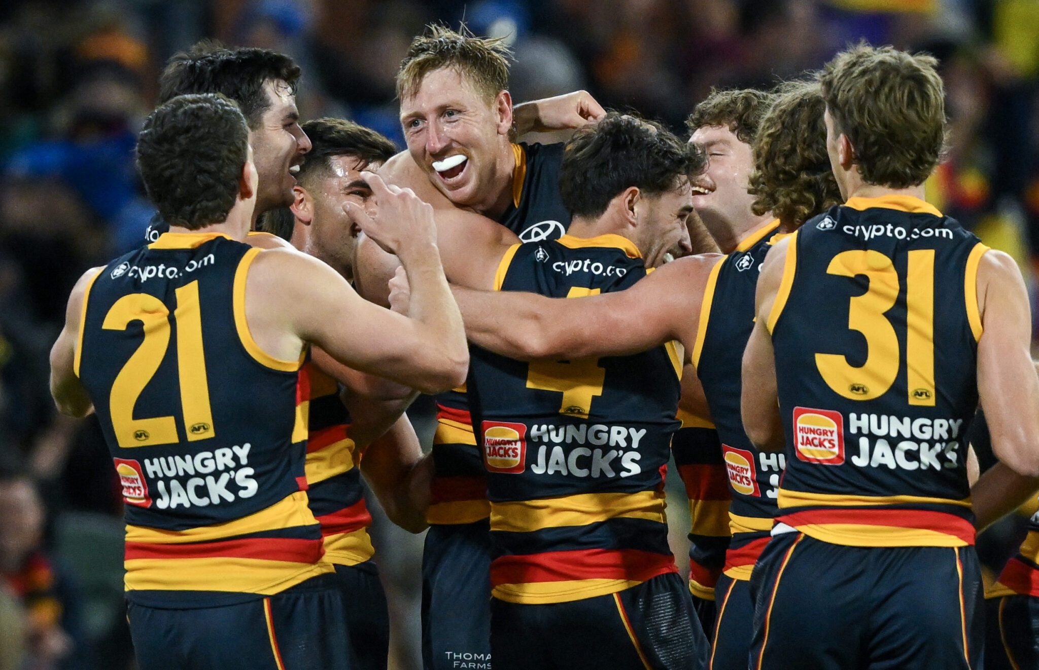 2024 AFL | Adelaide Football Club