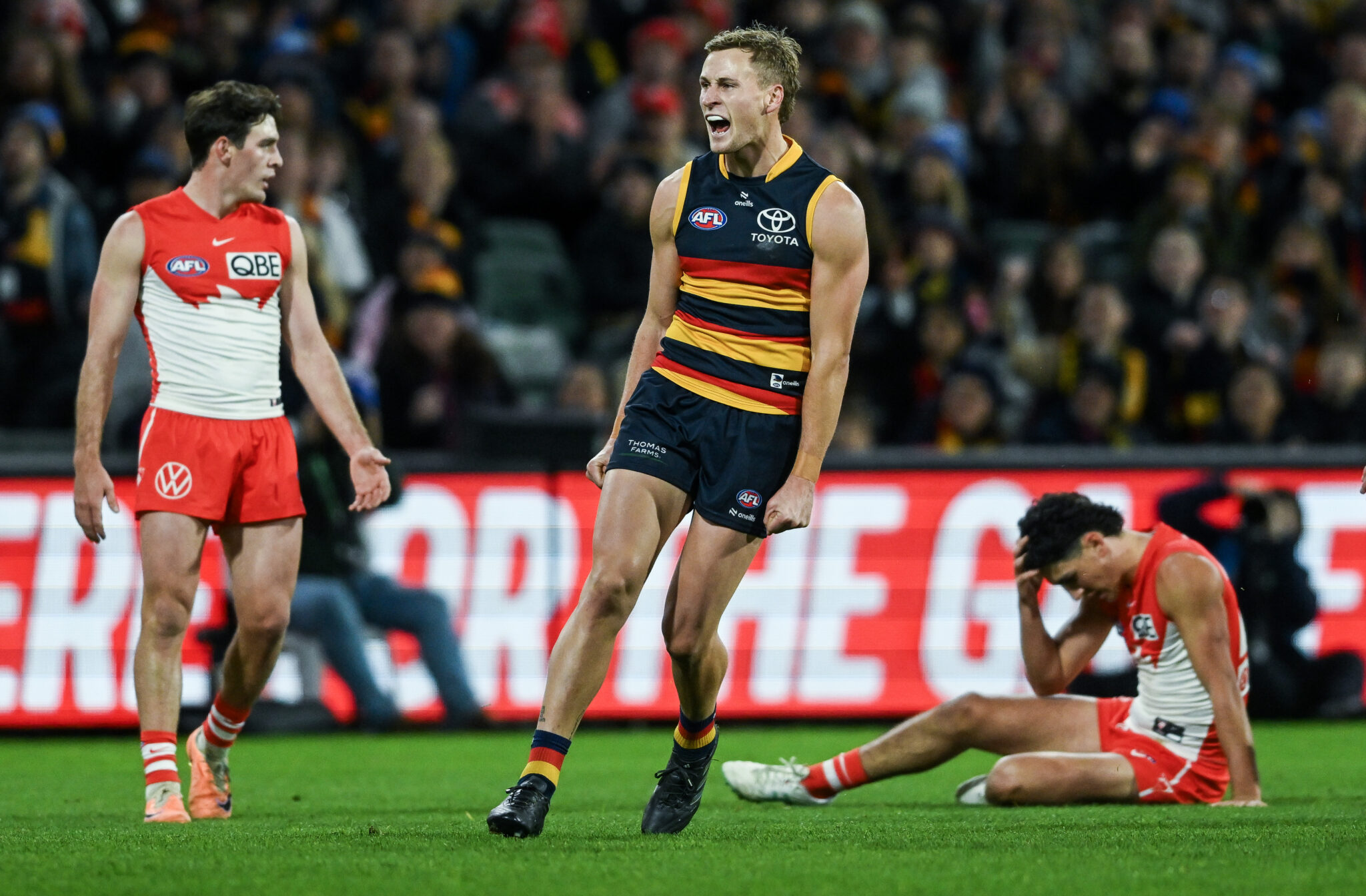 2024 AFL | Adelaide Football Club