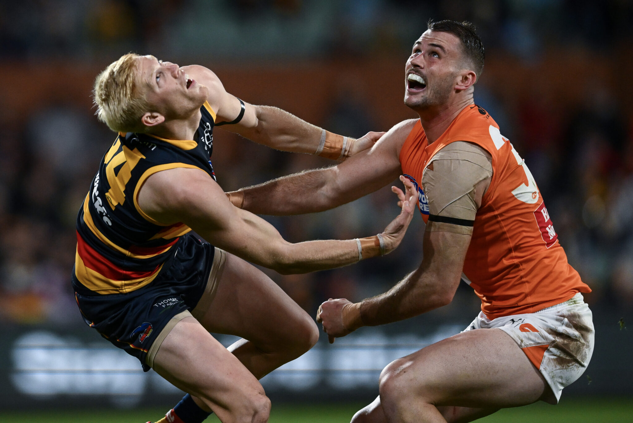 2024 AFL | Adelaide Football Club