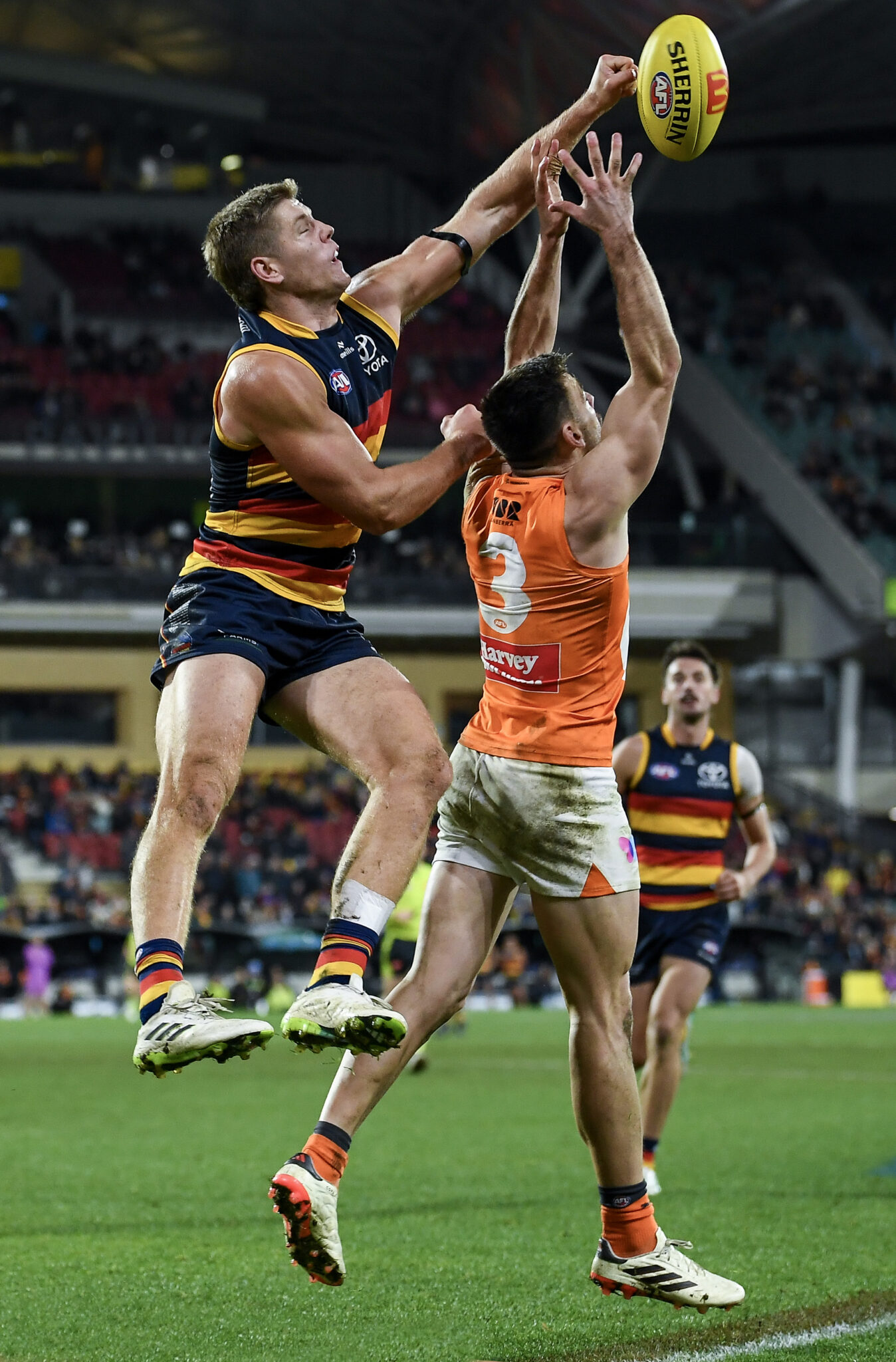 2024 AFL | Adelaide Football Club