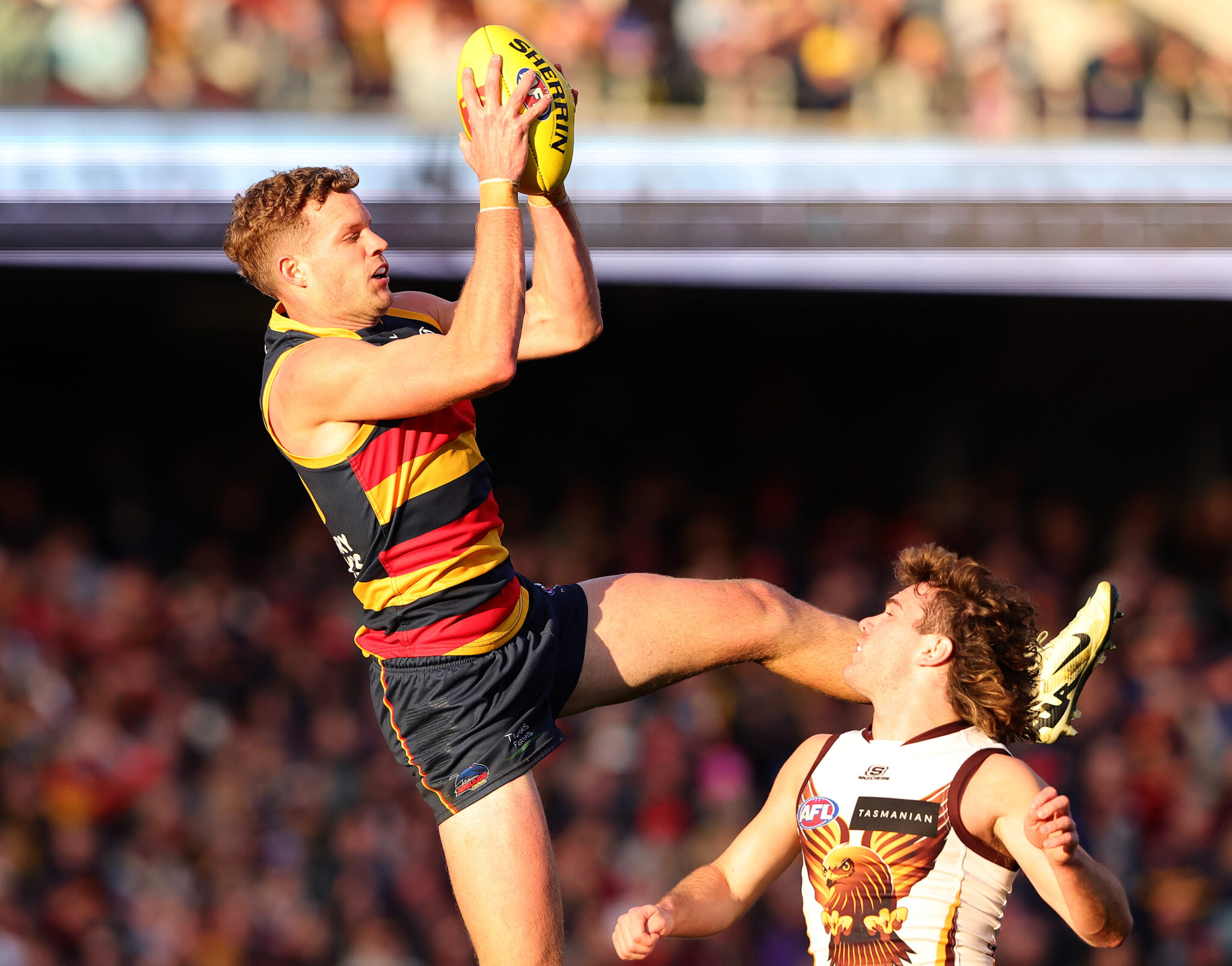 2024 AFL | Adelaide Football Club