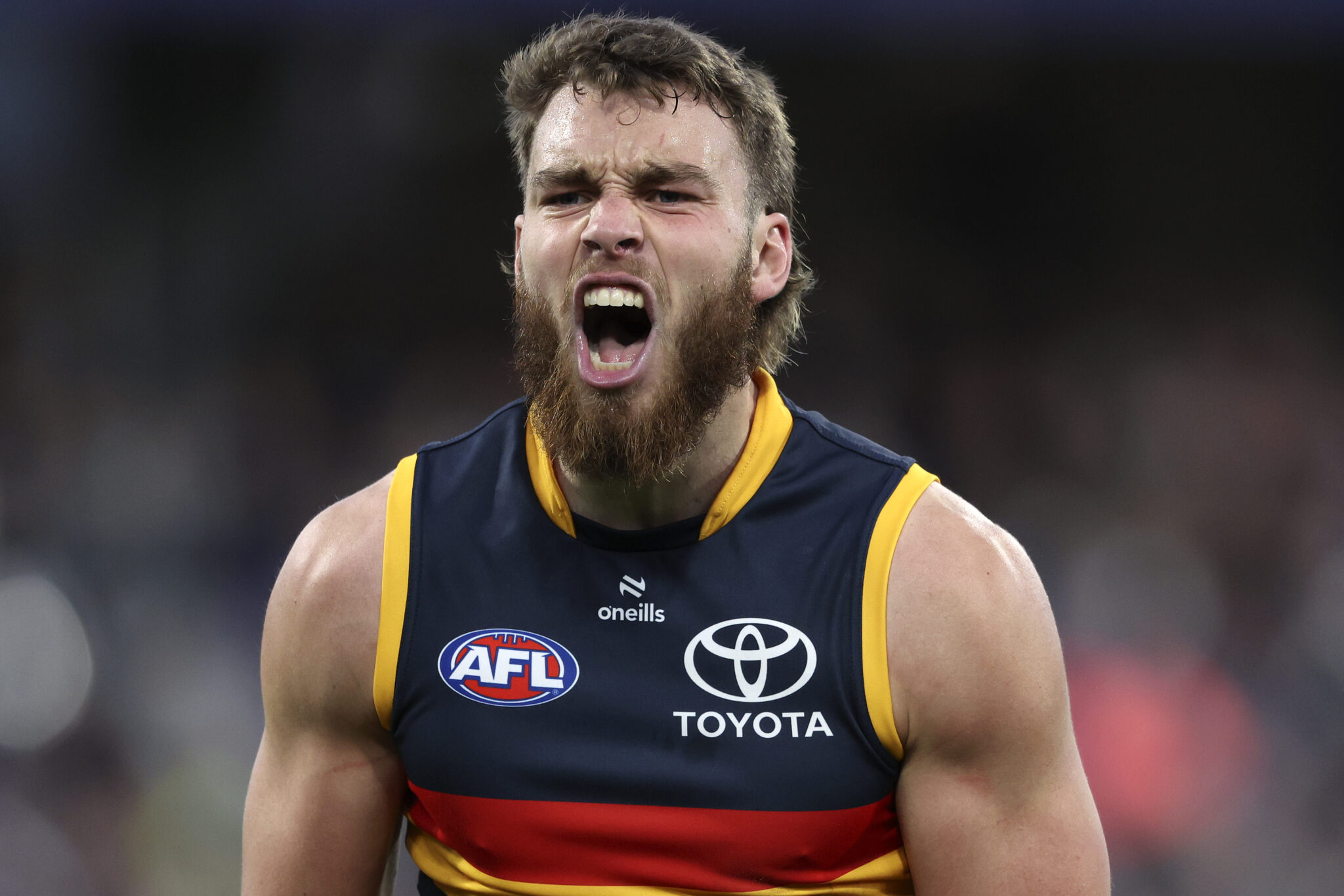 2024 AFL | Adelaide Football Club