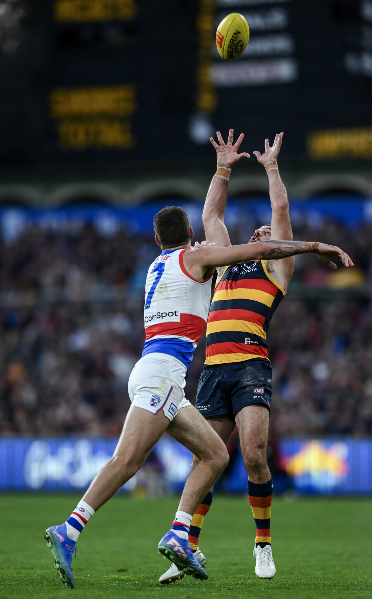 2024 AFL | Adelaide Football Club