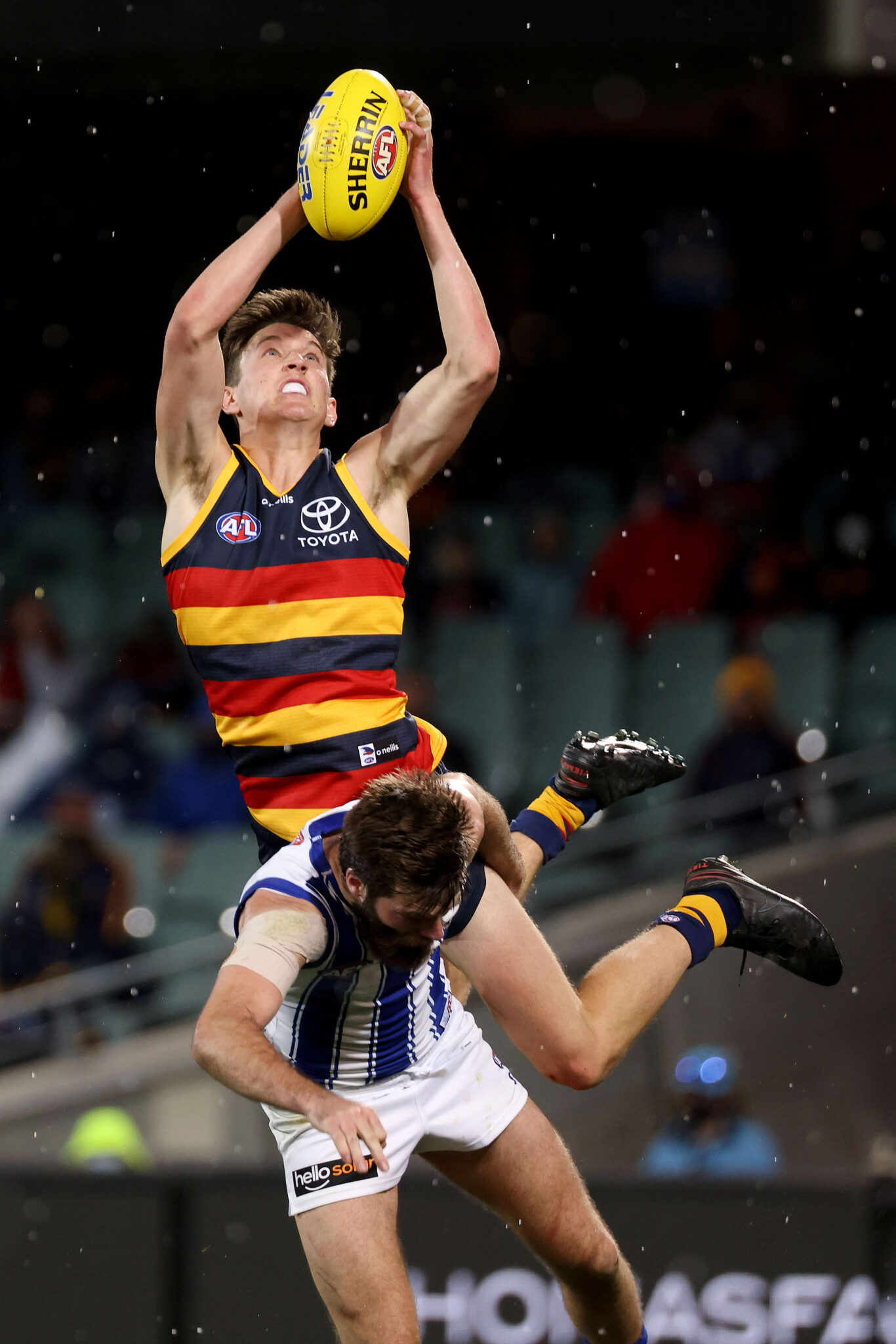 Lachlan Gollant | Adelaide Football Club